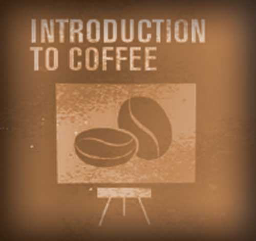 Arabica Estate Specialty Coffee Coffee Tutorials